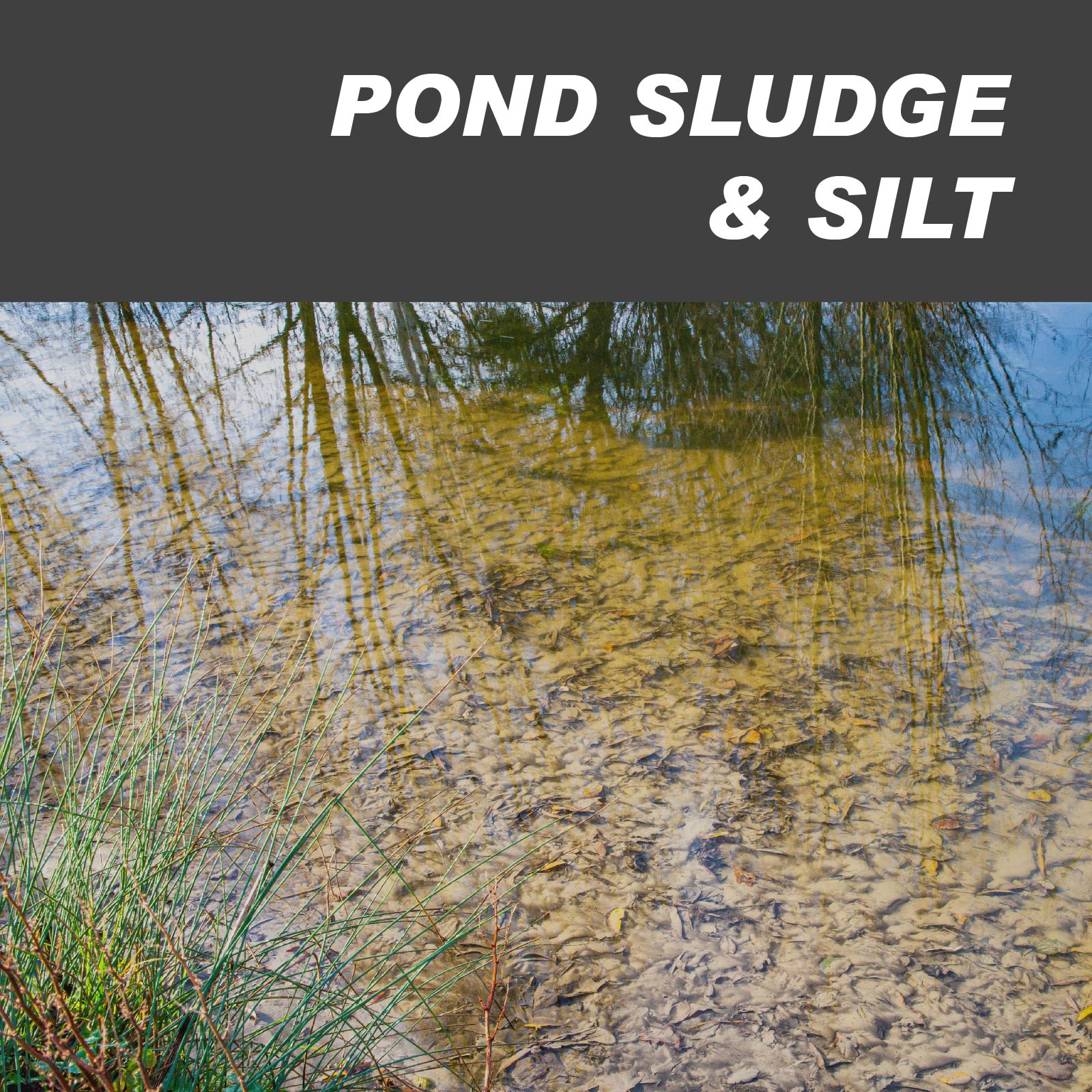 Pond Cleaner | Pond Dechlorinator | Bacteria for Pond
