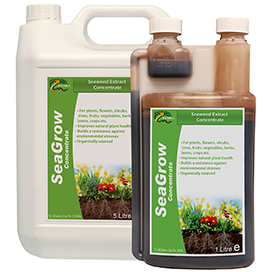Plant Fertilisers | Garden Plant Fertilising Products