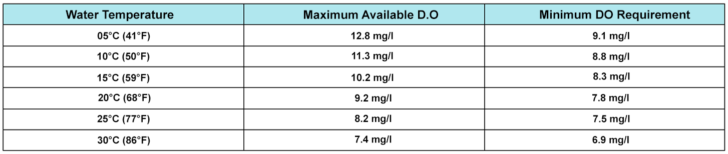 Do Fish Need Oxygen | How To Increase Oxygen In Water